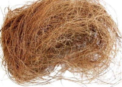 Home | Sisiraengineering.com